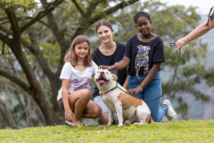 Happy Tails - SerendiPitty Rescue