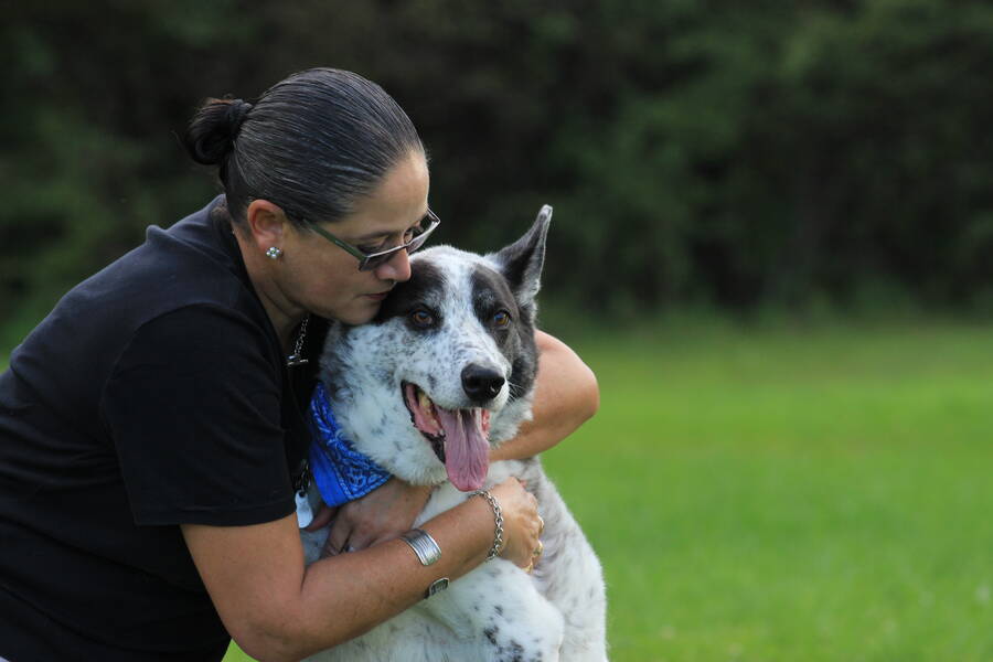 Happy Tails - My journey as an animal communicator and healer
