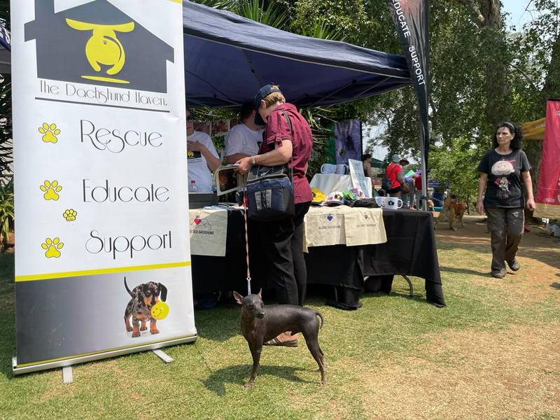 Happy Tails - The Rescue Collective’s inaugural Rescue Expo