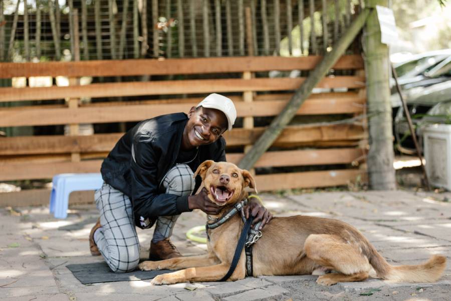 Happy Tails - The Underdog Project