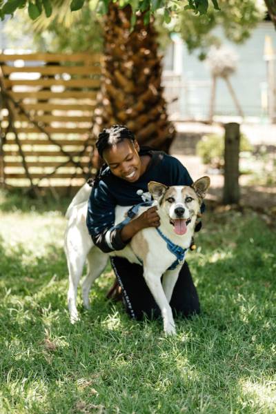 Happy Tails - The Underdog Project