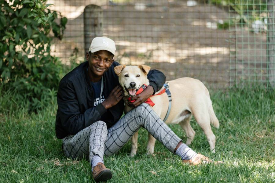 Happy Tails - The Underdog Project