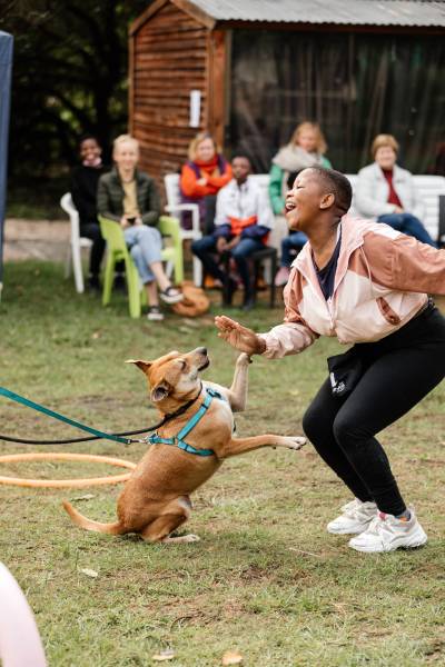 Happy Tails - The Underdog Project