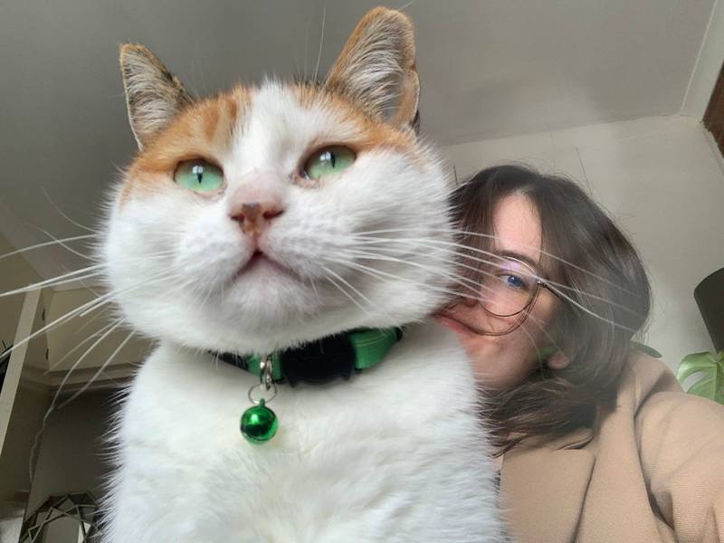 Happy Tails - Donna, the cat that seemed to be “in tears” all day