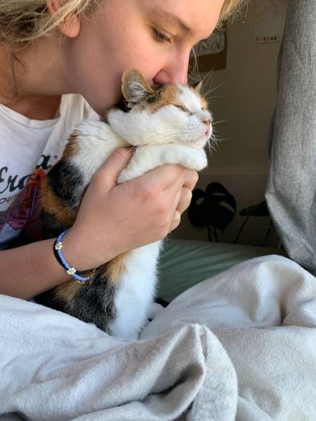 Happy Tails - Donna, the cat that seemed to be “in tears” all day