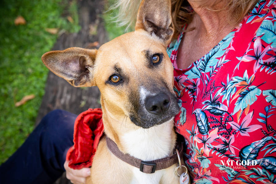 Happy Tails - Jenna, our most special girl