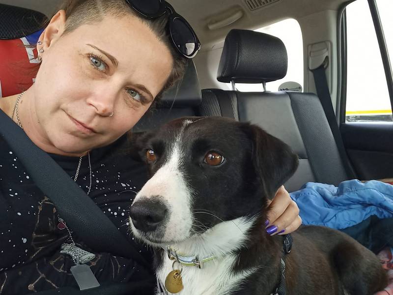 Happy Tails - Levinia – From Wanted-Not to Rock Mascot!