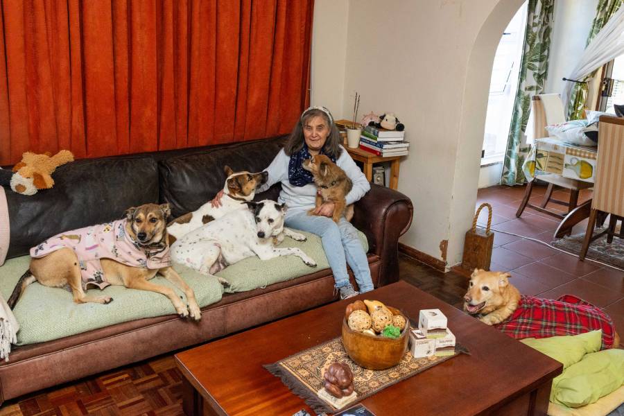 Happy Tails - Rose and the Kingdom of Tails