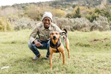 Happy Tails - The Underdog Project