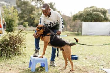 Happy Tails - The Underdog Project