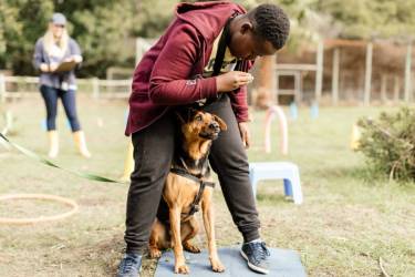 Happy Tails - The Underdog Project